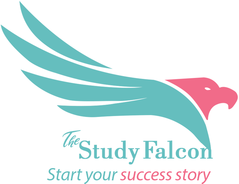 The Study Falcon